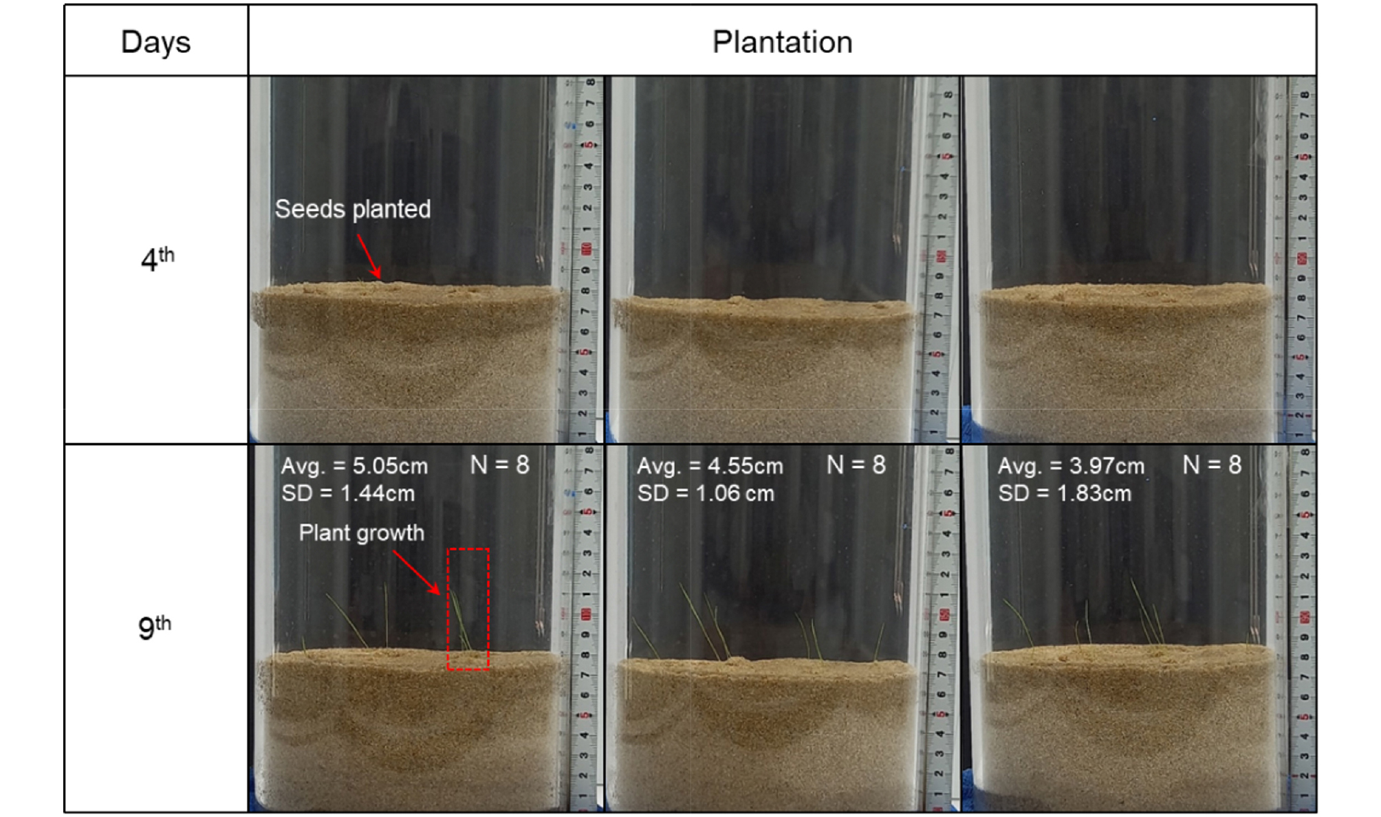 Effect of Microbially Induced Calcite Precipitation on Plant Growth